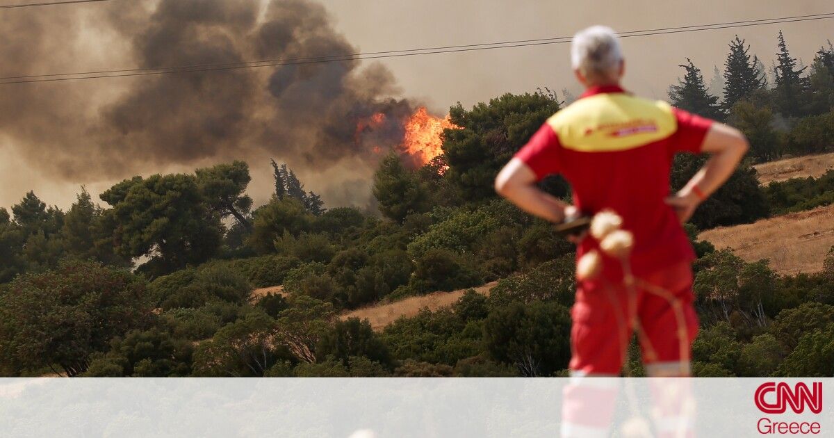 Αντιπεριφερειάρχης Πολιτικής Προστασίας: Ανεξέλεγκτη η φωτιά στη ...