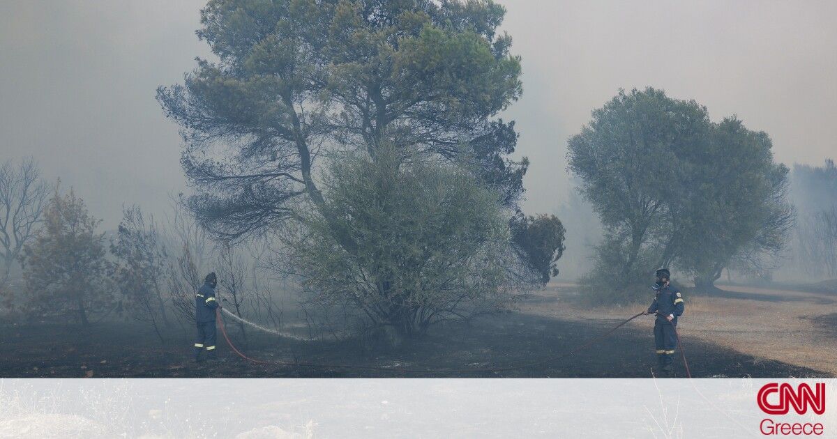 Μαίνεται ανεξέλεγκτη η φωτιά στη Λίμνη Ευβοίας - Σε επιφυλακή για ...