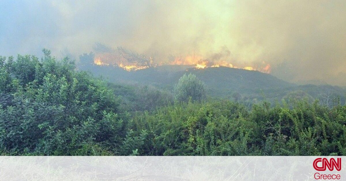 Δορυφορικές εικόνες των πυρκαγιών σε Εύβοια και Ηλεία - CNN.gr