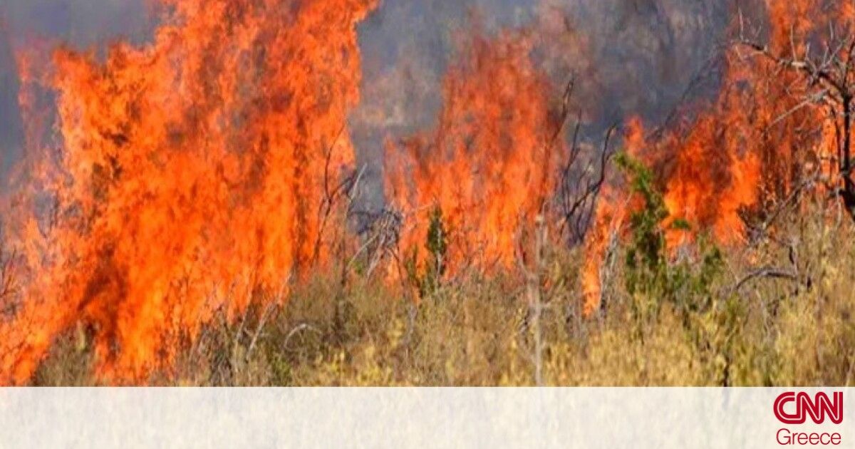 Πολύ υψηλός κίνδυνος πυρκαγιάς την Πέμπτη σε πολλές περιοχές της χώρας ...