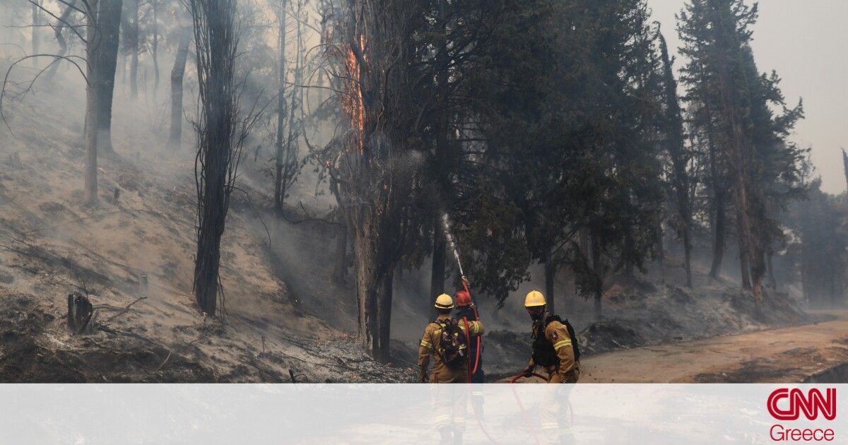 Απαγόρευση εισόδου σε δάση και εκτέλεσης επικίνδυνων για φωτιά εργασιών ...