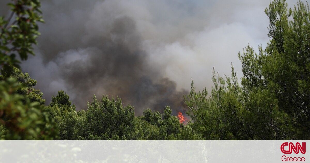 Φωτιά Ρόδος: Αναζωπύρωση στην περιοχή Καλαμώνας - CNN.gr