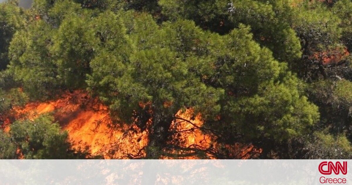 Φωτιές: Συλλήψεις για εμπρησμό σε Φωκίδα, Καλαμάτα και Κρυονέρι - CNN.gr