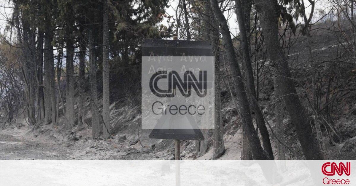 Φωτιά Εύβοια: Σοκάρουν οι εικόνες από το πύρινο μέτωπο - CNN.gr