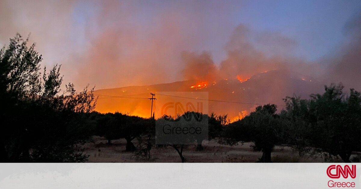 Φωτιά στη Φωκίδα: Εκκενώθηκαν Πάνορμος, Όρμος Λεμονιάς και Άγιοι Πάντες ...