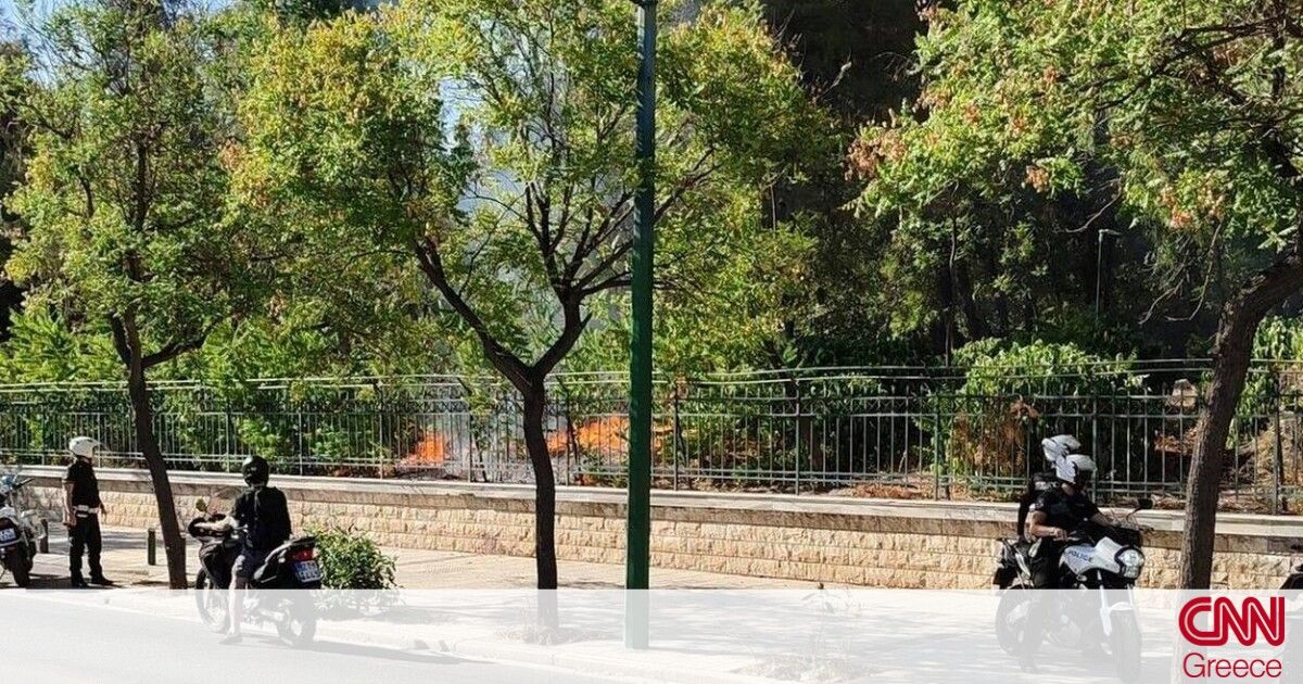 Εστία φωτιάς και στο Πεδίον του Άρεως: Άμεση η κατάσβεση, σύλληψη για ...