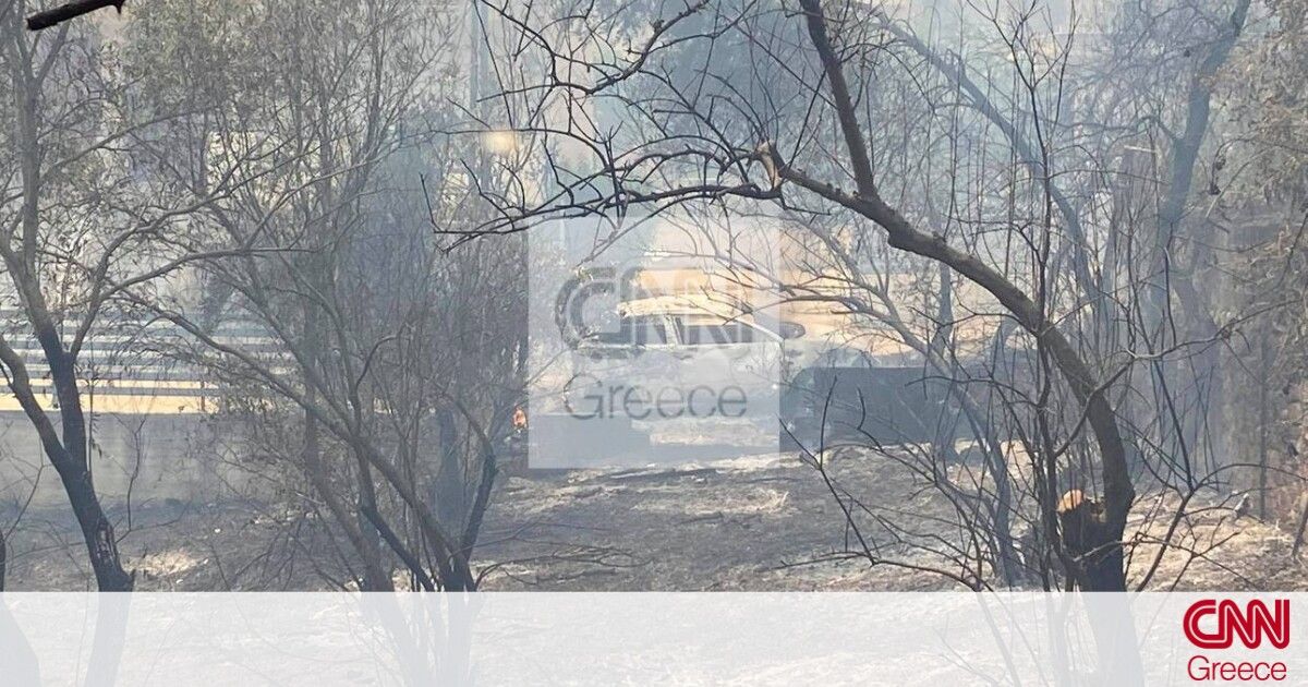 Φωτιές Αττική: Σκληρή μάχη στο Κρυονέρι - Εκκενώνονται Λίμνη Μαραθώνα ...