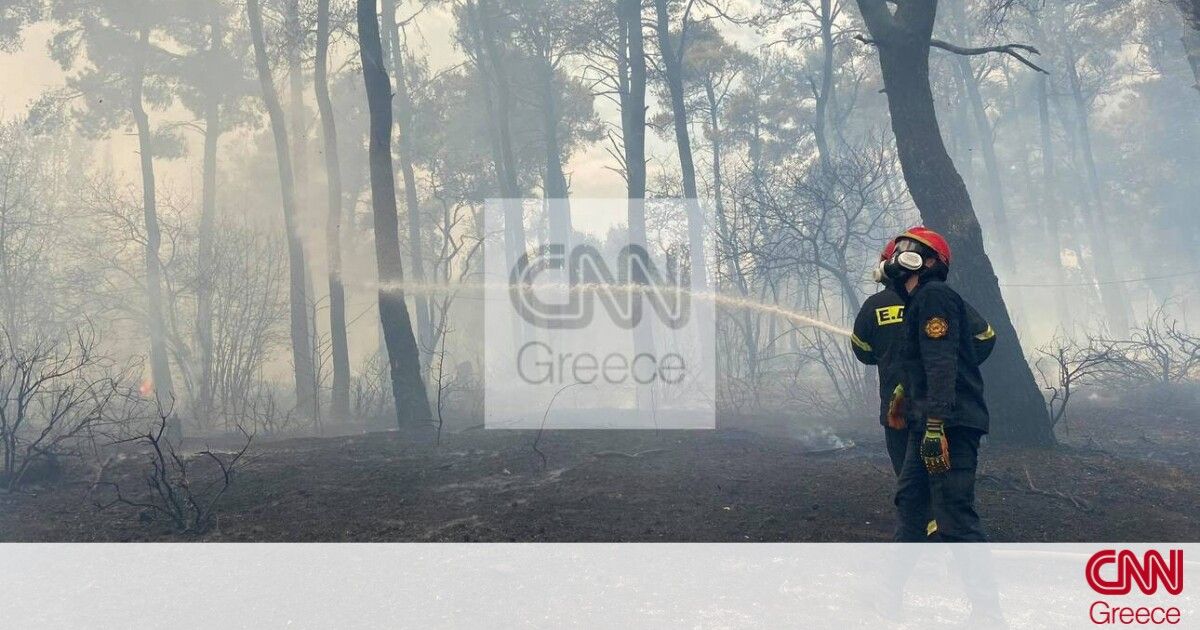 Φωτιές Αττική: Προσαγωγή ύποπτου «εθελοντή» στο Κρυονέρι - CNN.gr