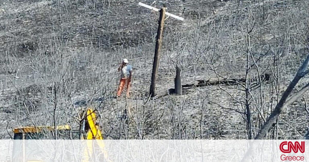 ΔΕΔΔΗΕ: Συνεχίζεται η προσπάθεια αποκατάστασης της ηλεκτροδότηση στις ...