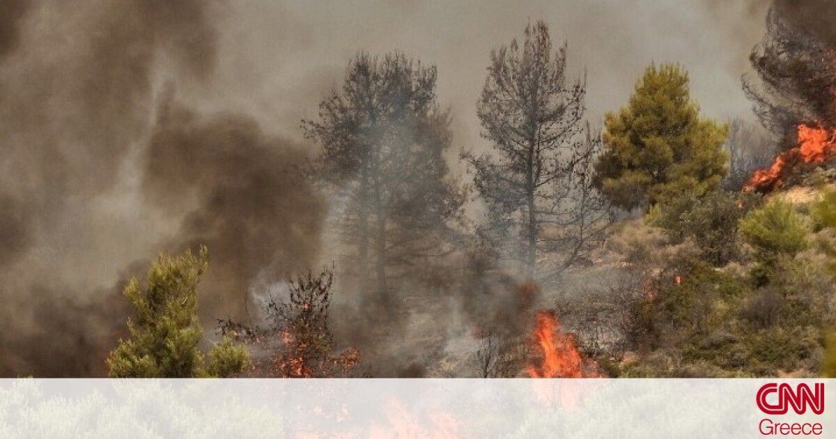 Πυρκαγιές: Εισαγγελική έρευνα για τον ταξίαρχο που ρώτησε αν υπάρχει ...