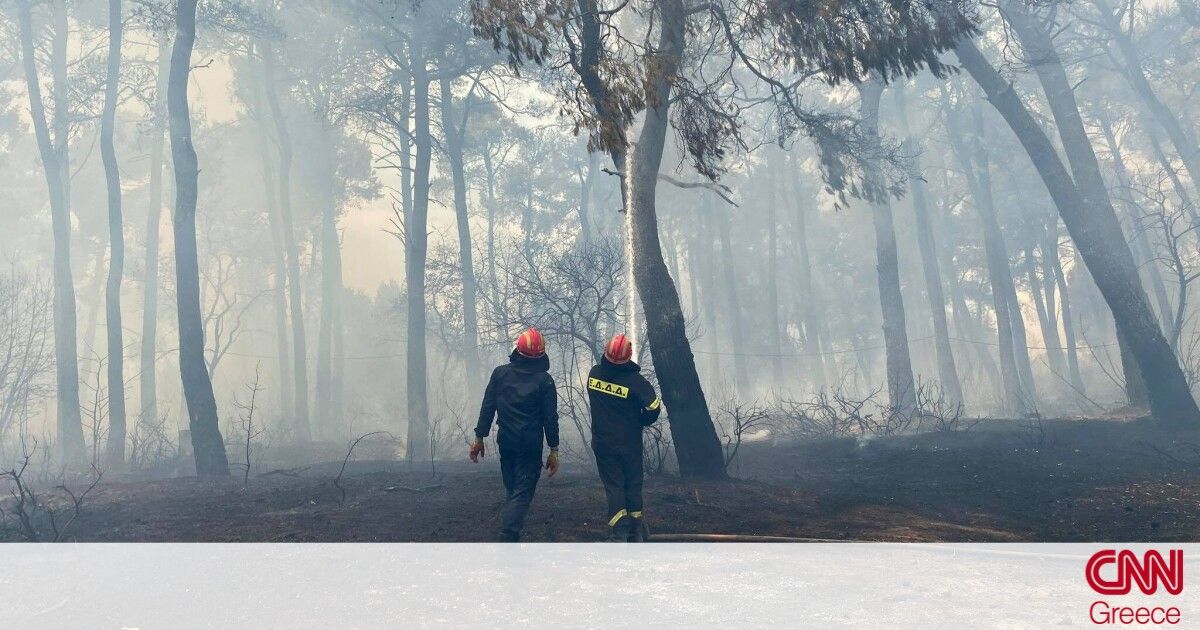 Φωτιές: Στη φυλακή οι τρεις συλληφθέντες για εμπρησμούς - CNN.gr