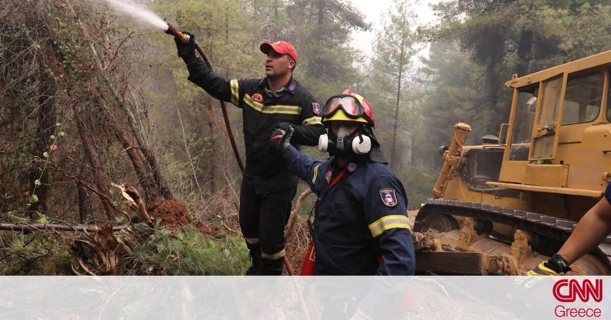 Φωτιά Εύβοια: Σταμάτησαν στη θάλασσα οι φλόγες στο Αγριοβότανο ...