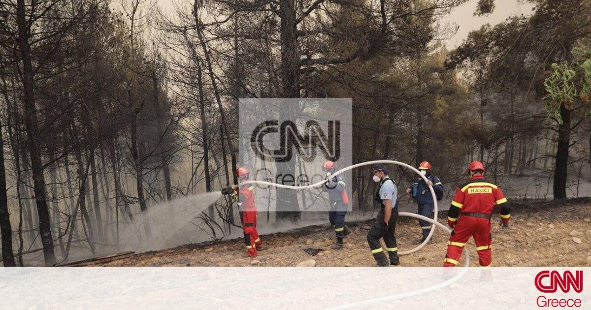 Φωτιά Εύβοια: Ολονύχτια μάχη με τις αναζωπυρώσεις - Σε ύφεση πλέον τα ...