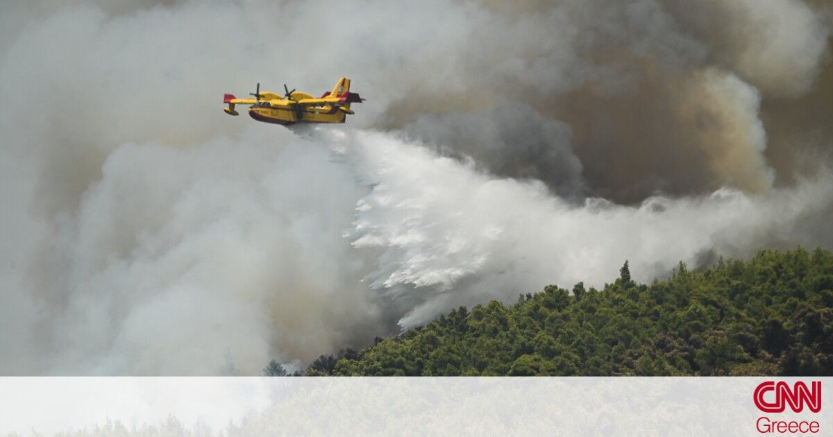 Φωτιές στην Ελλάδα: Πάνω από 1 εκατ. στρέμματα έγιναν στάχτη μέσα σε ...