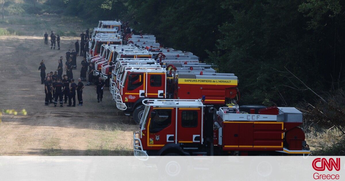 Παράταση απαγόρευσης εισόδου σε δάση έως τις 20 Αυγούστου - CNN.gr