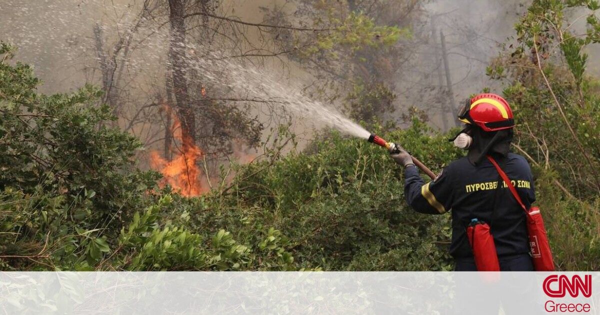 Φωτιά στην Αχαΐα: Οι φλόγες καίνε κοντά σε σπίτια στην Άρλα - CNN.gr
