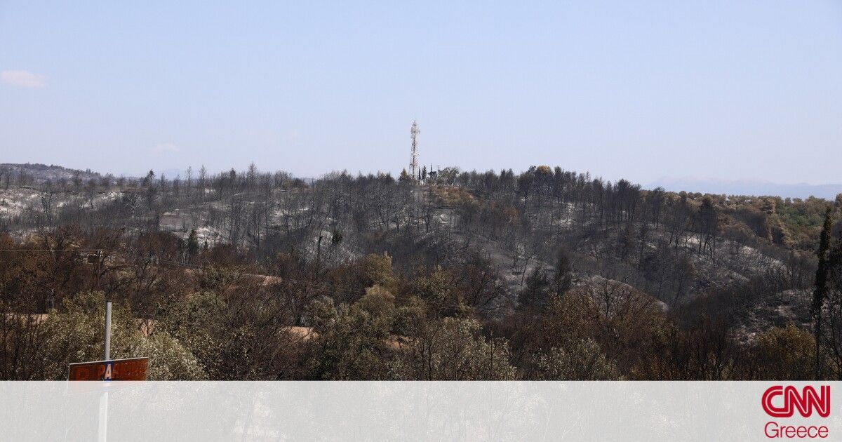 ΦΕΚ: Τα μέτρα για την αποκατάσταση του φυσικού περιβάλλοντος μετά τις ...