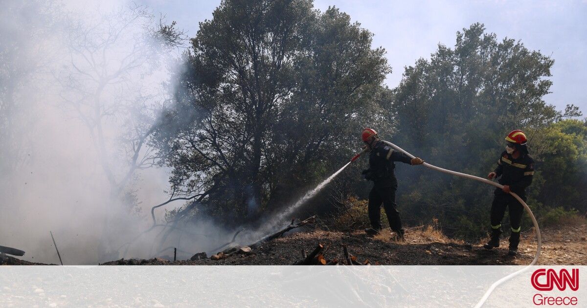 Λουτράκι: Καταγγελία για σκουπίδια και πλαστικά στο χώρο που εκδηλώθηκε ...