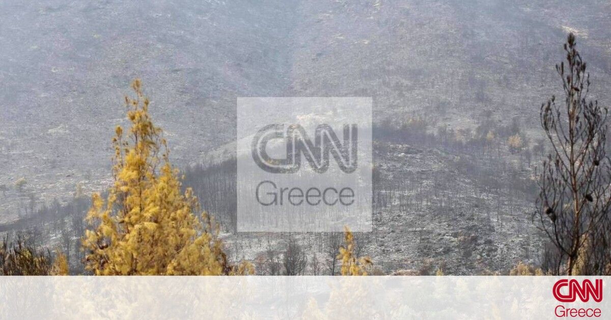 Βίλια: Βελτιωμένη η κατάσταση στο μέτωπο - Σε επιφυλακή για ...