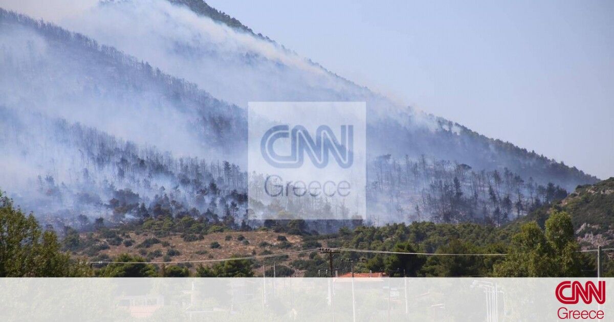 Φωτιά στα Βίλια: Συναγερμός στην Πυροσβεστική - Ισχυροί άνεμοι στην ...
