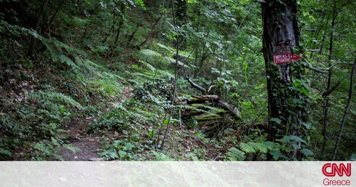 Νεκρός 72χρονος ορειβάτης στον Όλυμπο - CNN.gr