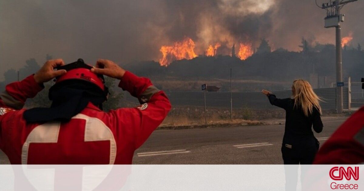 Ο Ελληνικός Ερυθρός Σταυρός δίπλα στους μαθητές των πυρόπληκτων ...