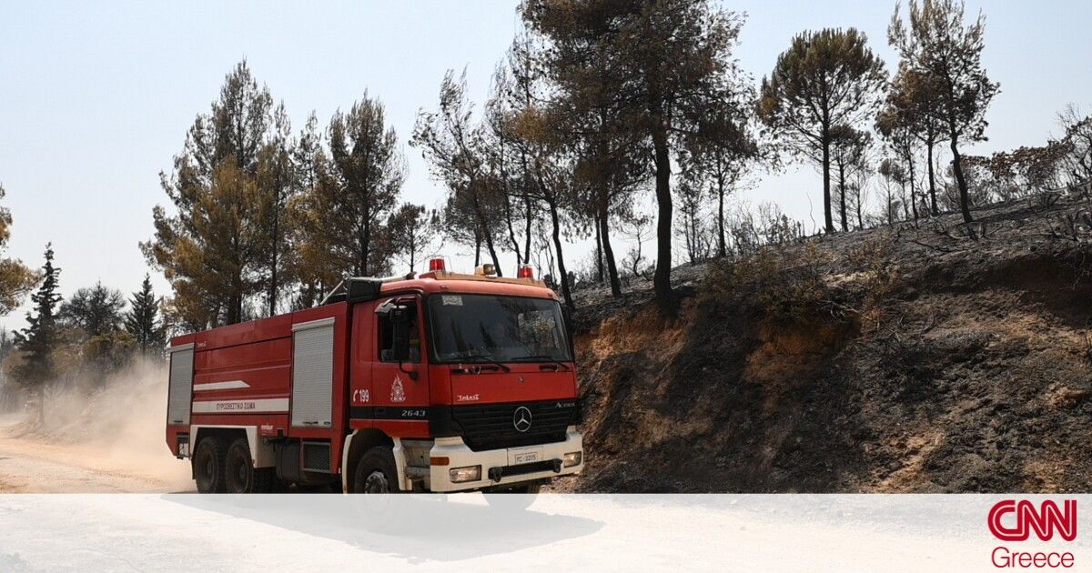 Υπό μερικό έλεγχο η φωτιά στην περιοχή της Πάρνηθας - Άμεση η ...