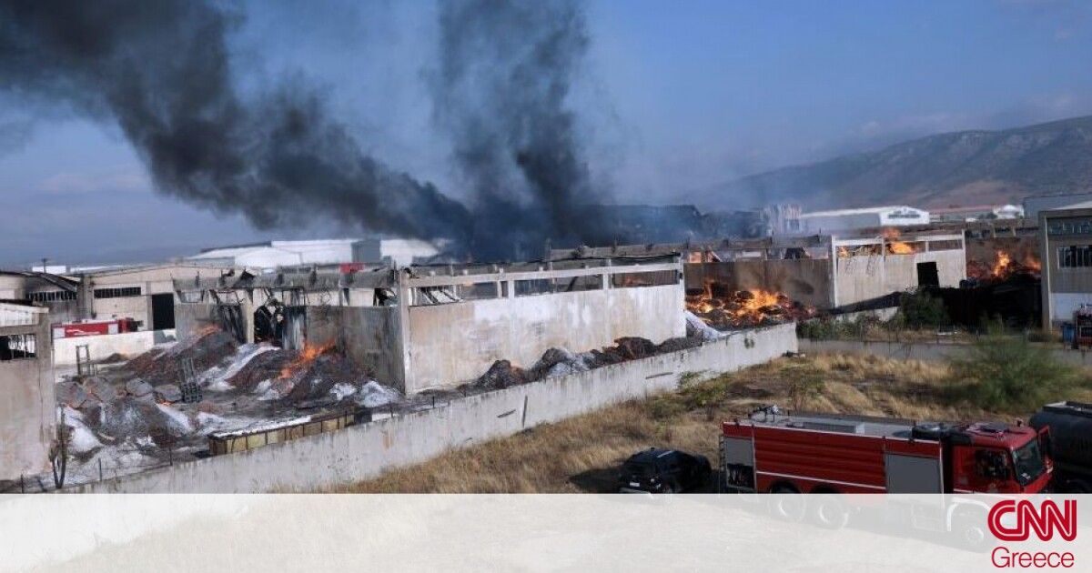 Μεγάλη φωτιά σε εργοστάσιο ξυλείας στον Ασπρόπυργο - CNN.gr