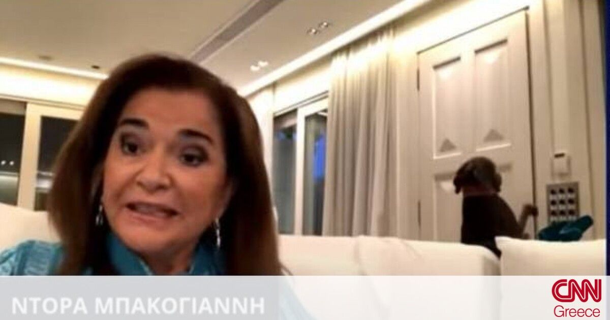 Η «απόδραση» του σκύλου της Ντόρας Μπακογιάννη κατά τη διάρκεια ...