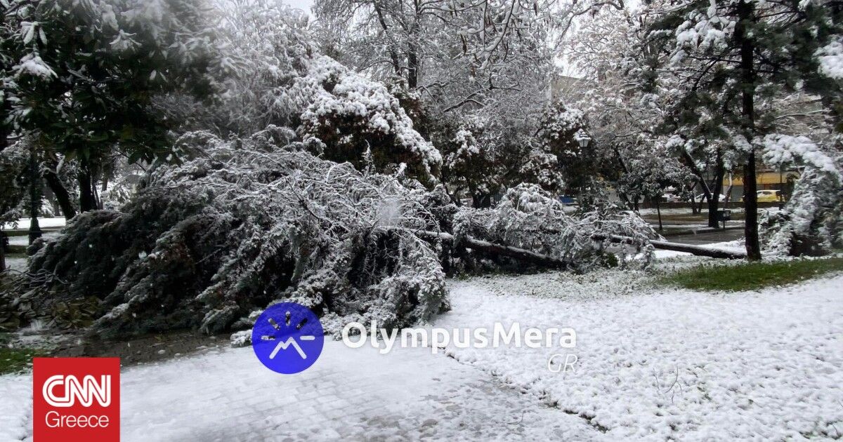 Κακοκαιρία Φίλιππος: Το έστρωσε στην Κατερίνη - Ξεριζώθηκαν δέντρα από ...