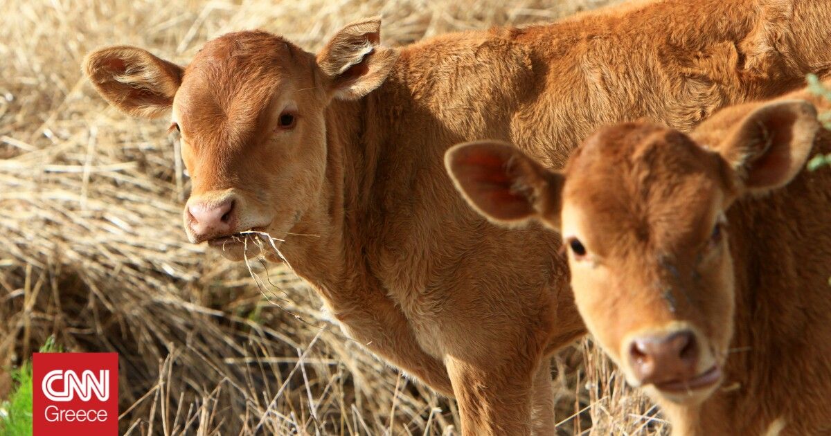 Πριν από το Πάσχα η έκτακτη ενίσχυση 45 εκατ. ευρώ για στους ...