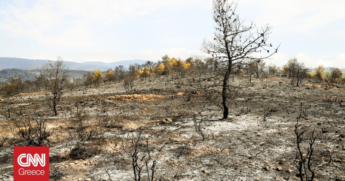 Οι δήμοι στην αντιμετώπιση των επιπτώσεων της κλιματικής κρίσης - CNN.gr