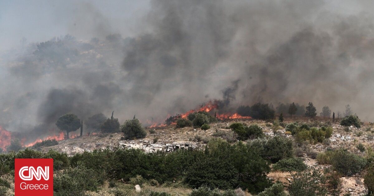 Πυροσβεστική: Εκδηλώθηκαν 23 πυρκαγιές μέσα σε ένα 24ωρο σε όλη τη χώρα ...