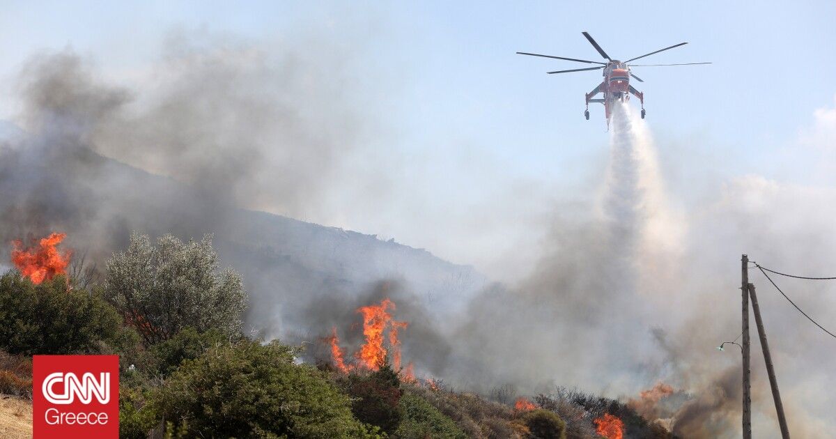 Φωτιά σε Φθιώτιδα και Χαλκιδική - Υπό μερικό έλεγχο το μέτωπο στη ...