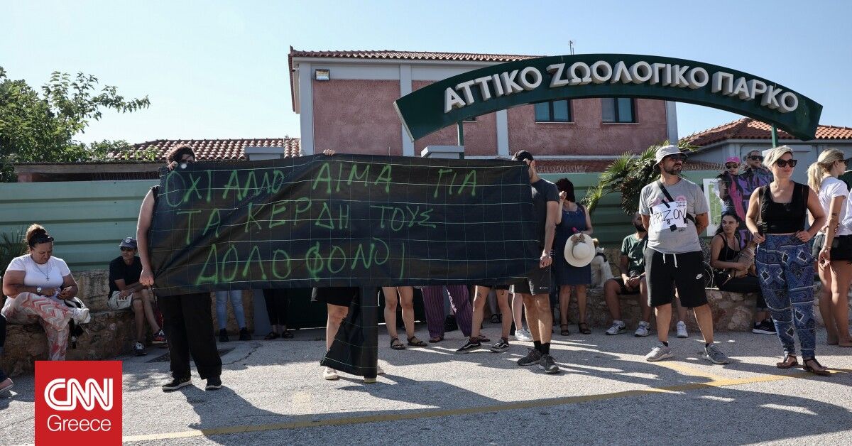 Αττικό Ζωολογικό Πάρκο: Συγκέντρωση διαμαρτυρίας για τη θανάτωση του ...