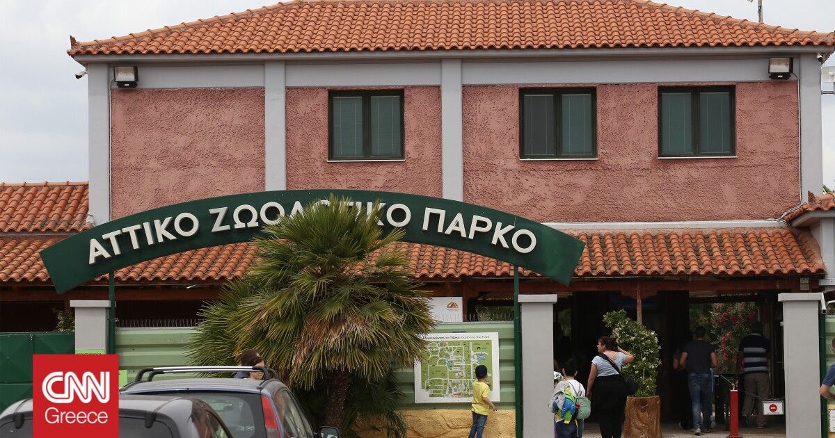 Κυβερνητική παρέμβαση για τη θανάτωση χιμπατζή στο Αττικό Ζωολογικό ...