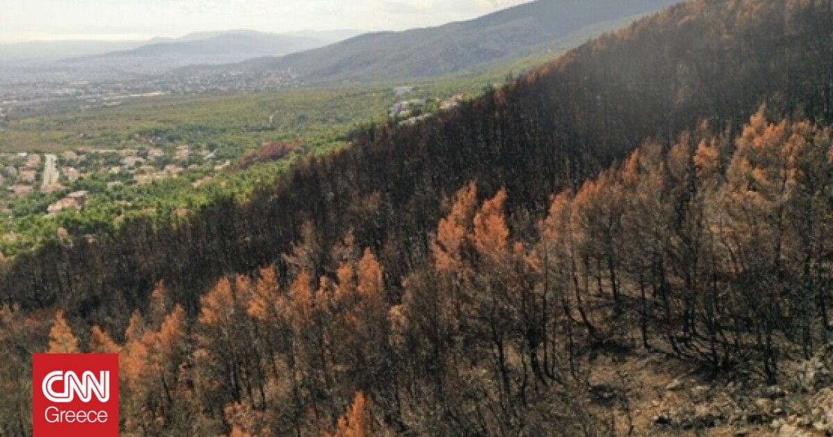 Η σημασία της πρόληψης ακόμα και μετά την καταστροφή: Η περίπτωση της ...