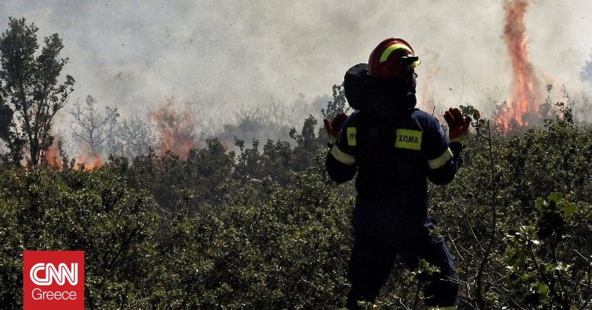 Συναγερμός στην Πυροσβεστική: Πυρκαγιά στη Λευκάδα - CNN.gr