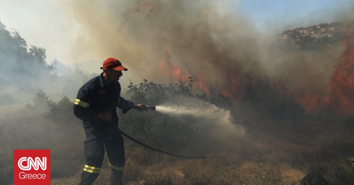 Φωτιά στην Εύβοια: Μάχη με τις φλόγες σε δάσος στη Γιάλτρα - CNN.gr
