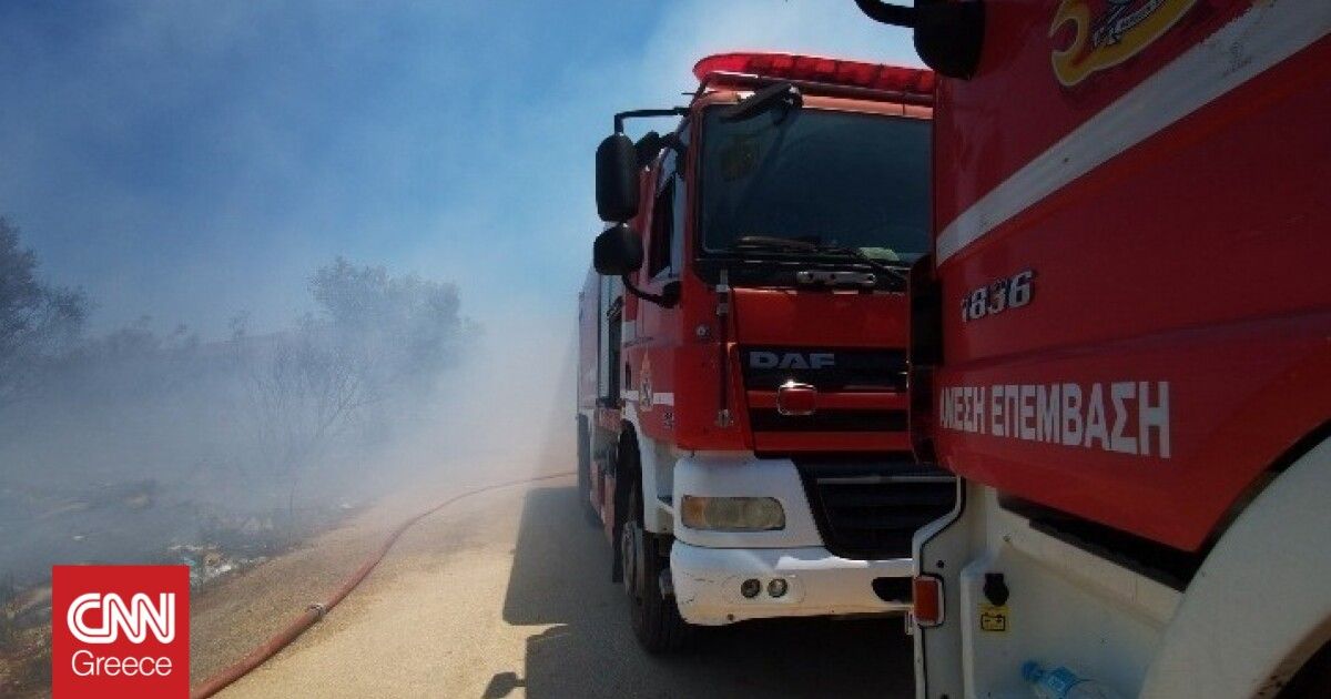 Φωτιά στη Χαλκιδική: Άμεση κινητοποίηση της Πυροσβεστικής - CNN.gr