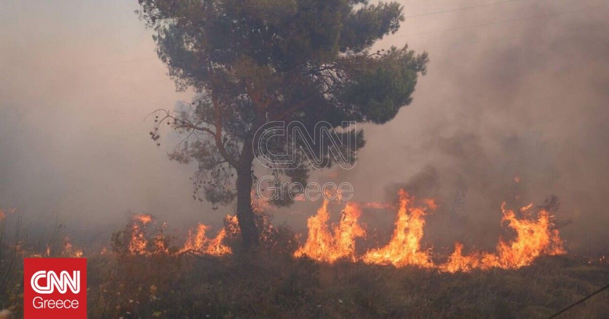 Οι Ένοπλες Δυνάμεις συμμετέχουν στις επιχειρήσεις πυρόσβεσης στην ...