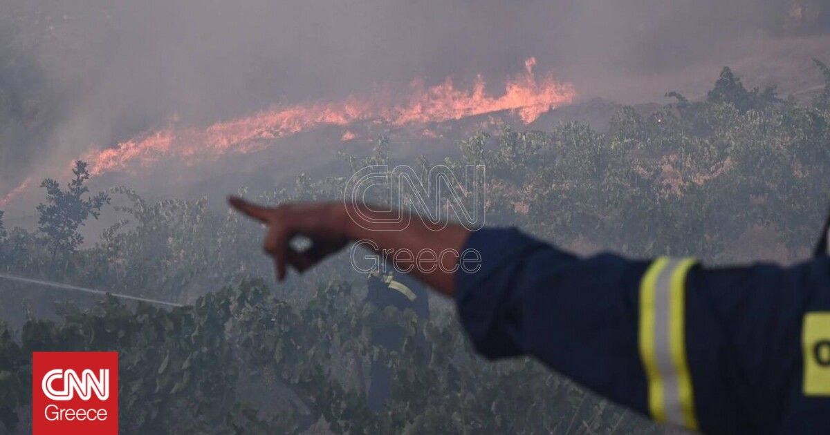 «Δύο πυρκαγιές ξεκίνησαν σχεδόν ταυτόχρονα στην Πεντέλη» – Τι λέει ο ...