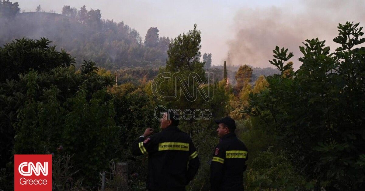 Πολύ υψηλός κίνδυνος πυρκαγιάς σήμερα για Αττική και Στερεά Ελλάδα - CNN.gr