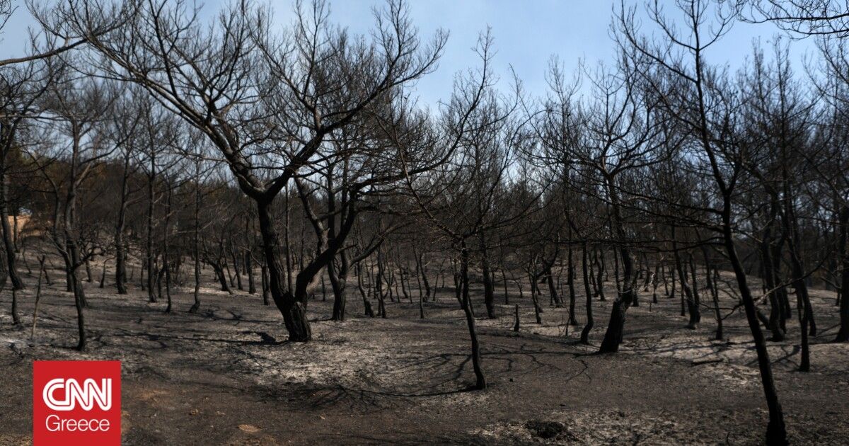 Φωτιά στη Μυτιλήνη: Κάηκαν 20.340 στρέμματα – Τι δείχνουν τα δορυφορικά ...