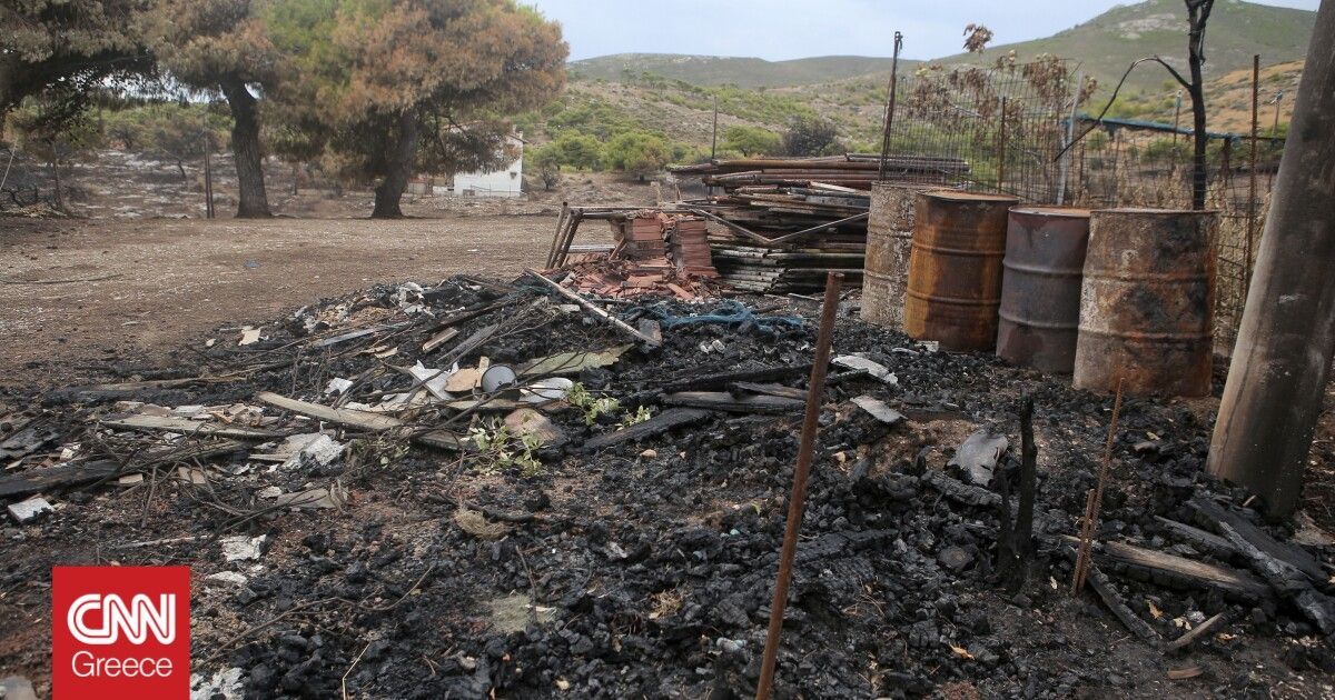 Δήμος Πεντέλης: Κηρύχθηκε σε κατάσταση έκτακτης ανάγκης μετά την ...
