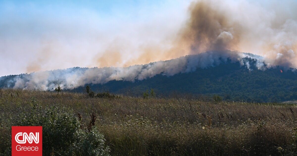 Φωτιές: Πολύ υψηλός κίνδυνος πυρκαγιάς την Παρασκευή - Ο χάρτης της ...