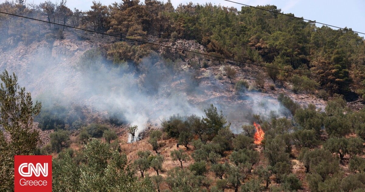 Υψηλός κίνδυνος πυρκαγιών στη χώρα τις επόμενες ημέρες λόγω ανέμων ...