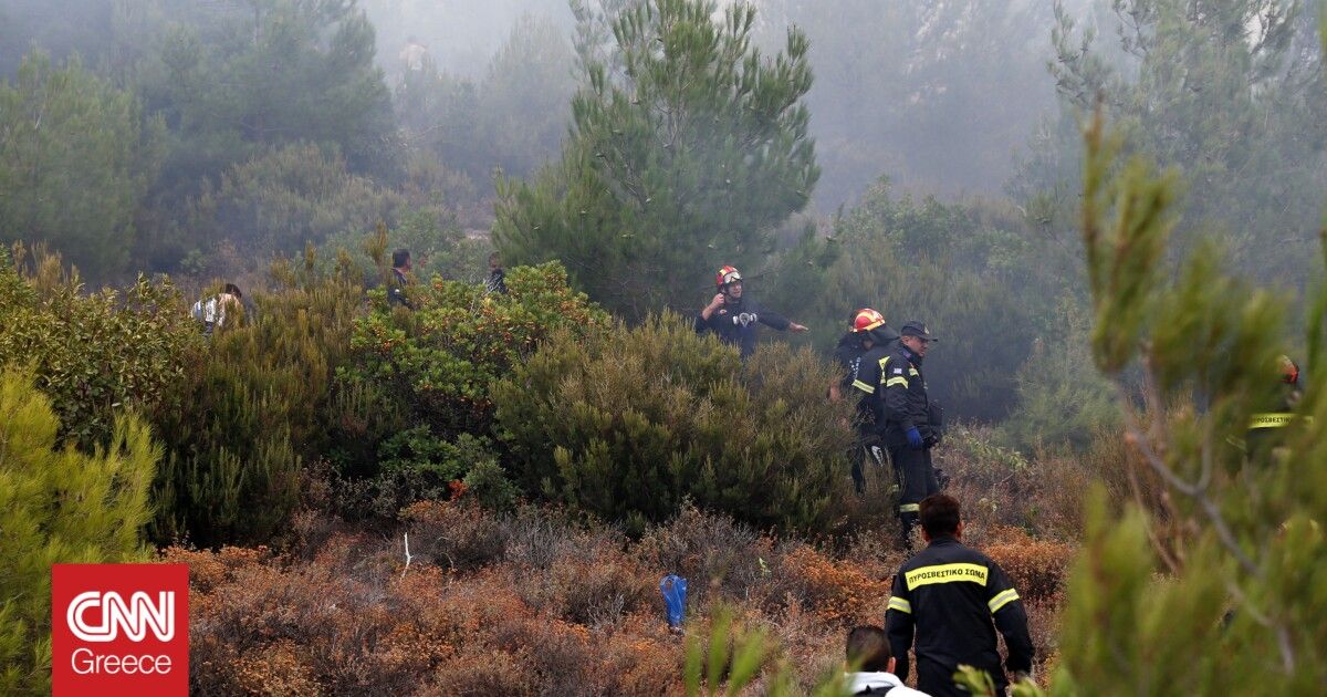 Θάσος: Υπό πλήρη έλεγχο η φωτιά - Έρευνες της Πυροσβεστικής για το ...
