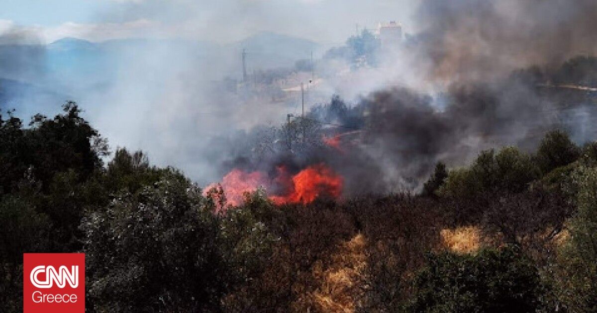 Οριοθετήθηκε η φωτιά στην Αργολίδα - 51 δασικές πυρκαγιές το τελευταίο ...