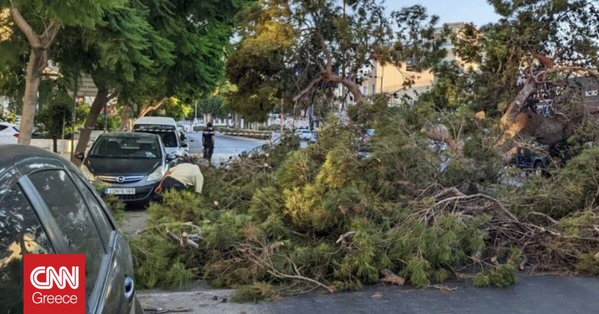 Τραγωδία στην Κρήτη: Η στιγμή πτώσης του δέντρου που κόστισε την ζωή ...